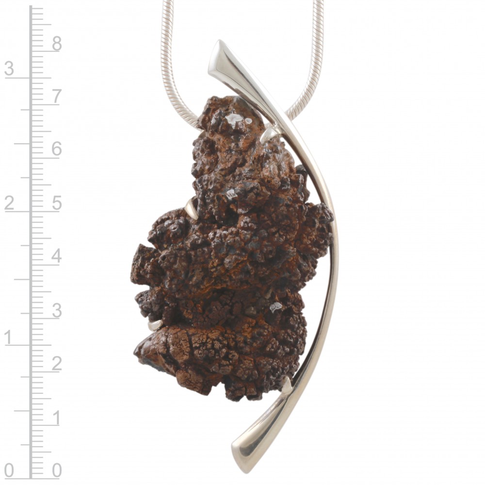 Coprolite (Dinosaur Poo) Pendant